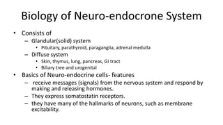 Neuroendocrine tumors of pancreas | PPTX