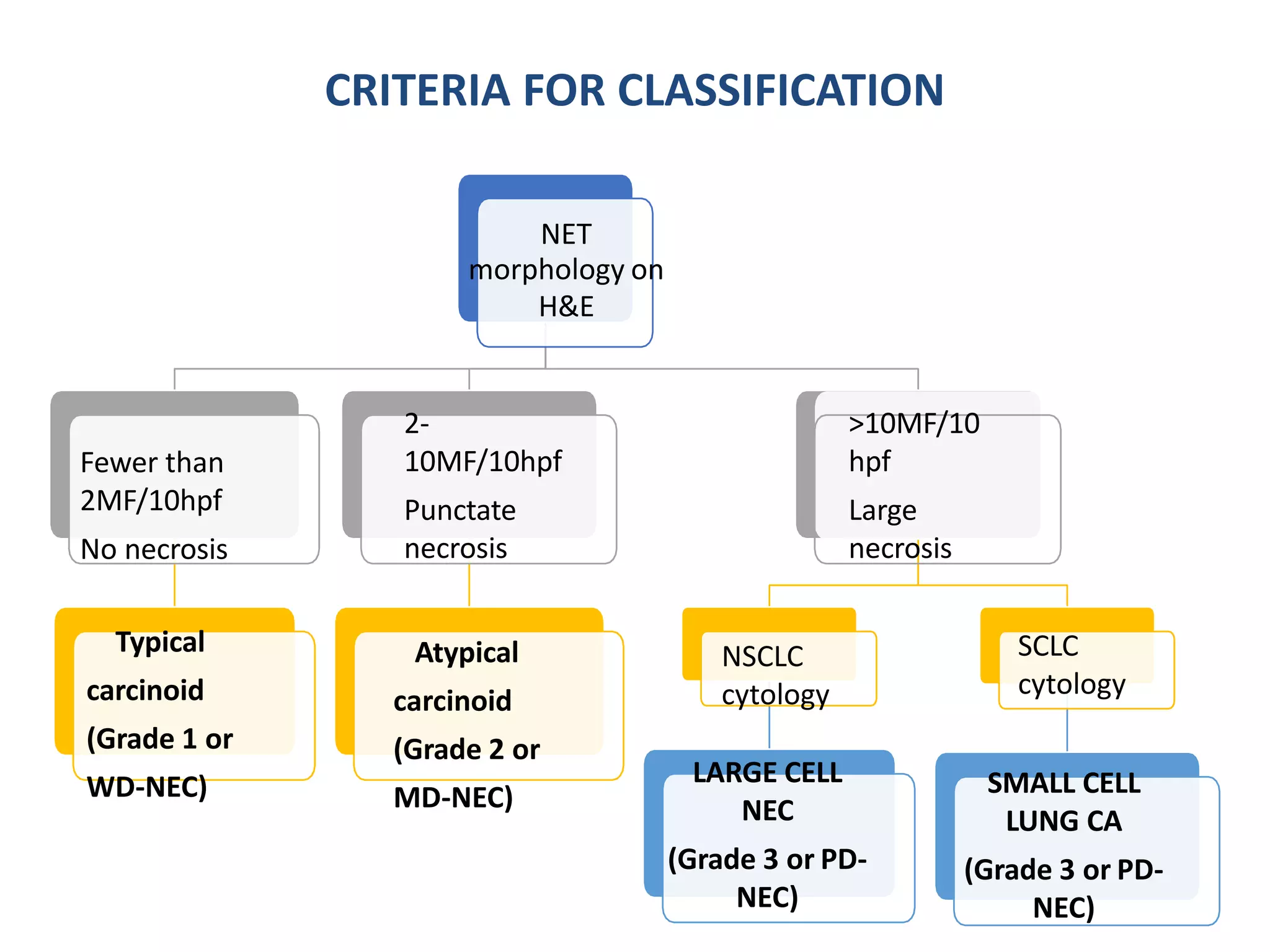Neuroendocrine tumors of the lung (seminar) | PPTX