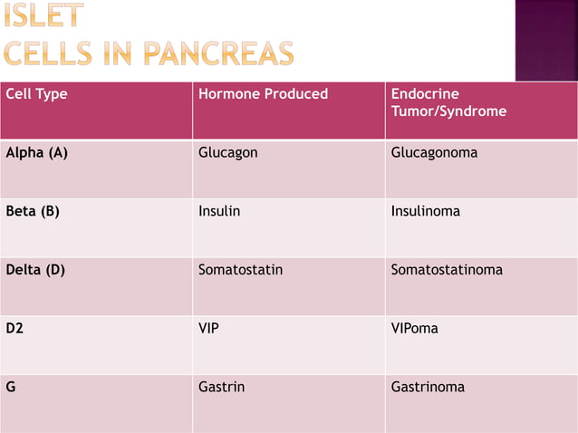 Neuroendocrine tumors of the pancreas | PPT