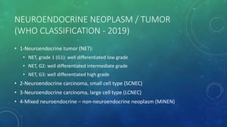 Neuroendocrine tumours.pptx