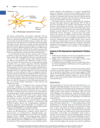 NEUROENDOCRINOLOGIA DE LA REPRODUCCION 2024.pdf