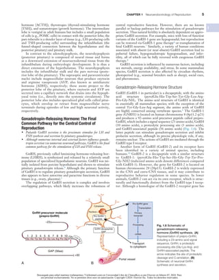 NEUROENDOCRINOLOGIA DE LA REPRODUCCION 2024.pdf