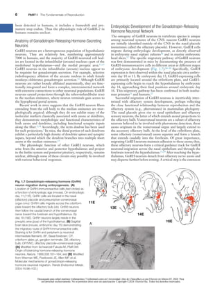 NEUROENDOCRINOLOGIA DE LA REPRODUCCION 2024.pdf