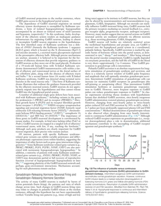 NEUROENDOCRINOLOGIA DE LA REPRODUCCION 2024.pdf | Infertility | Reproductive Health