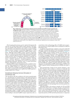 NEUROENDOCRINOLOGIA DE LA REPRODUCCION 2024.pdf