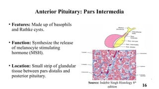 Fundamentals of Neuroendocrinology...... | PPTX