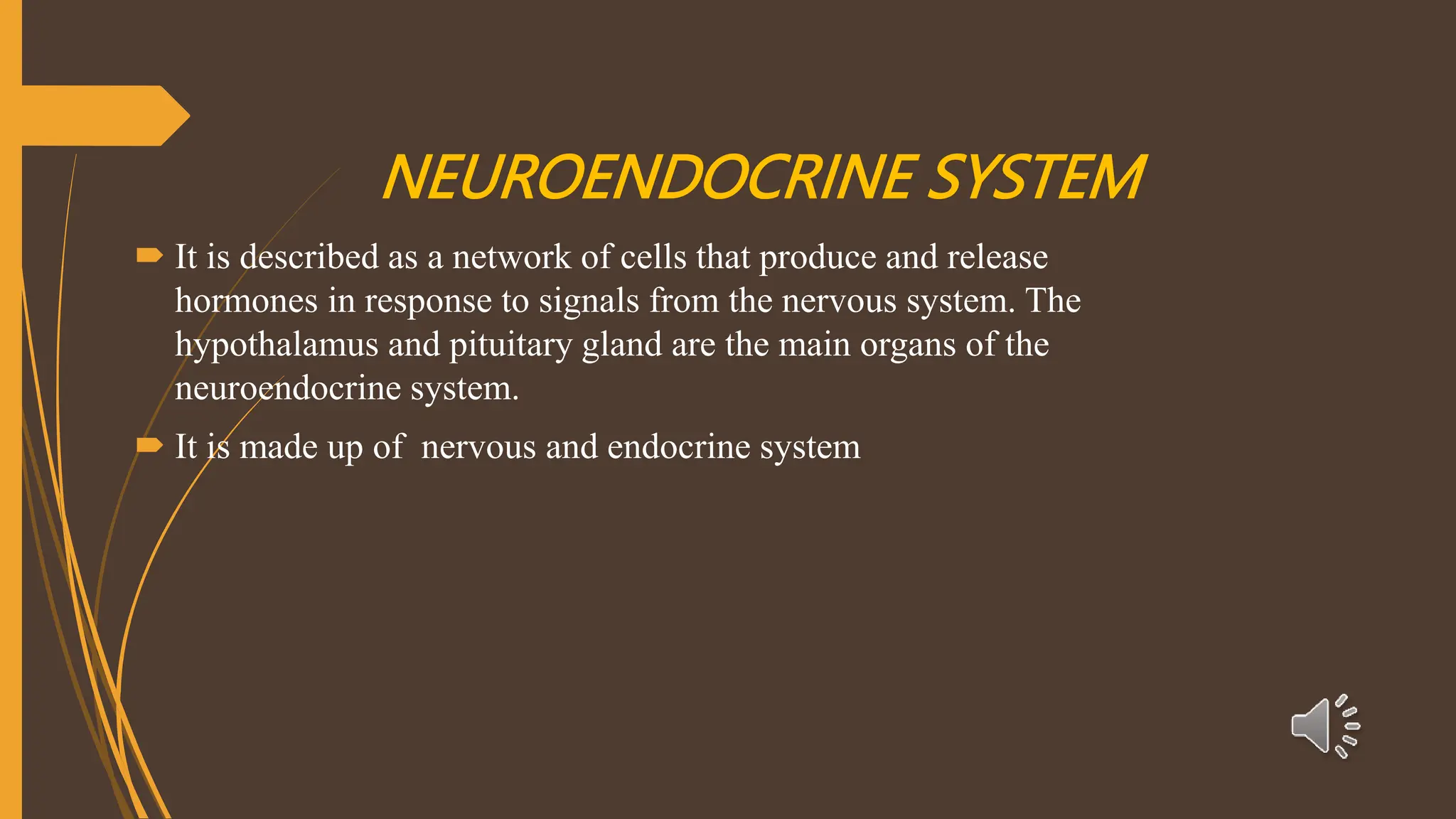 NEUROENDROCRINE.pptx
