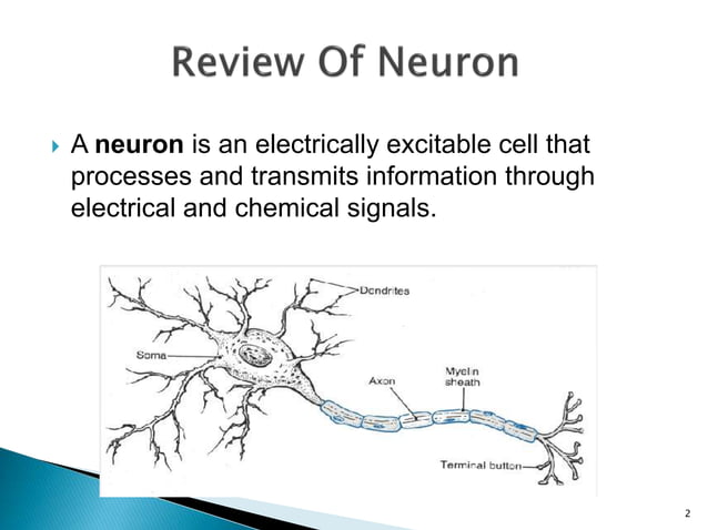 Integrate and Fire based neuron model | PPT