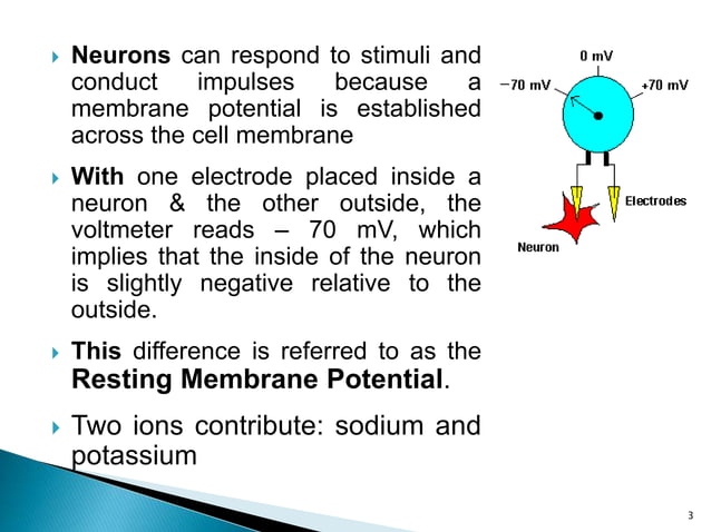 Integrate and Fire based neuron model | PPT