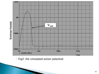 Integrate and Fire based neuron model | PPT