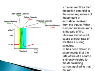 Integrate and Fire based neuron model | PPT