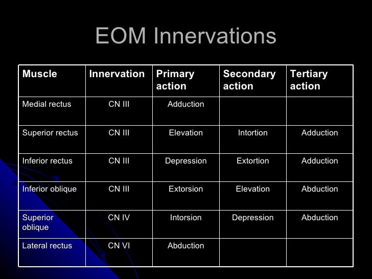 Neuro Exam Portfolio