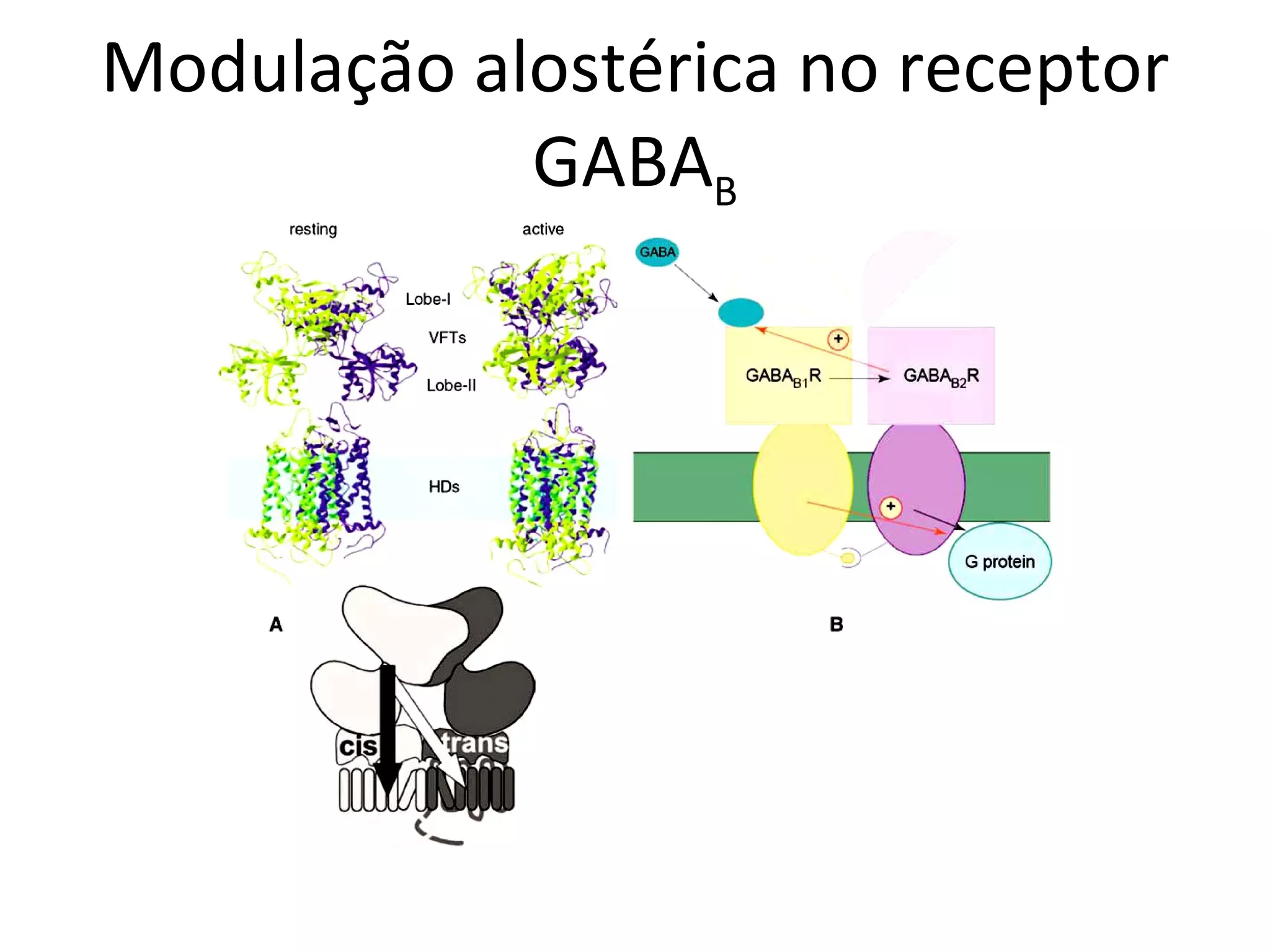 Neurofarmacologia da neurotransmissão GABAérgica e glutamatérgica | PPT