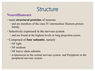 Neurofilament light chain | PPT