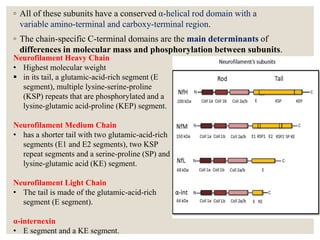Neurofilament light chain | PPT