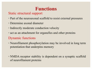 Neurofilament light chain | PPT