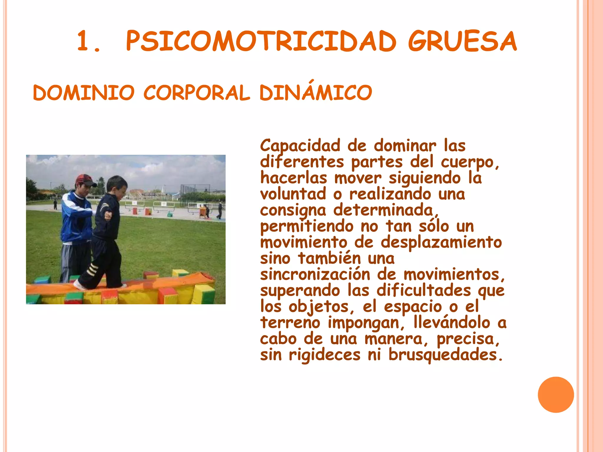 Neurofisiología de la conducta motora, psicomotricidad | PPTX