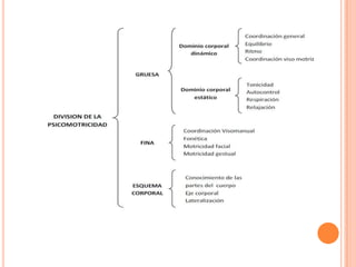 Neurofisiología de la conducta motora, psicomotricidad | PPTX