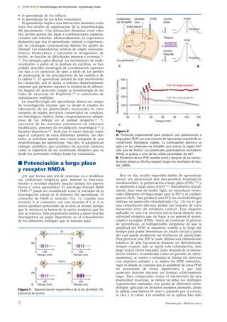 Neurofisiología del movimiento. aprendizaje motor | PDF
