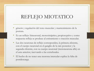 Neurofisiología Loyber (1).pptx técnicas kinesicas | PPTX