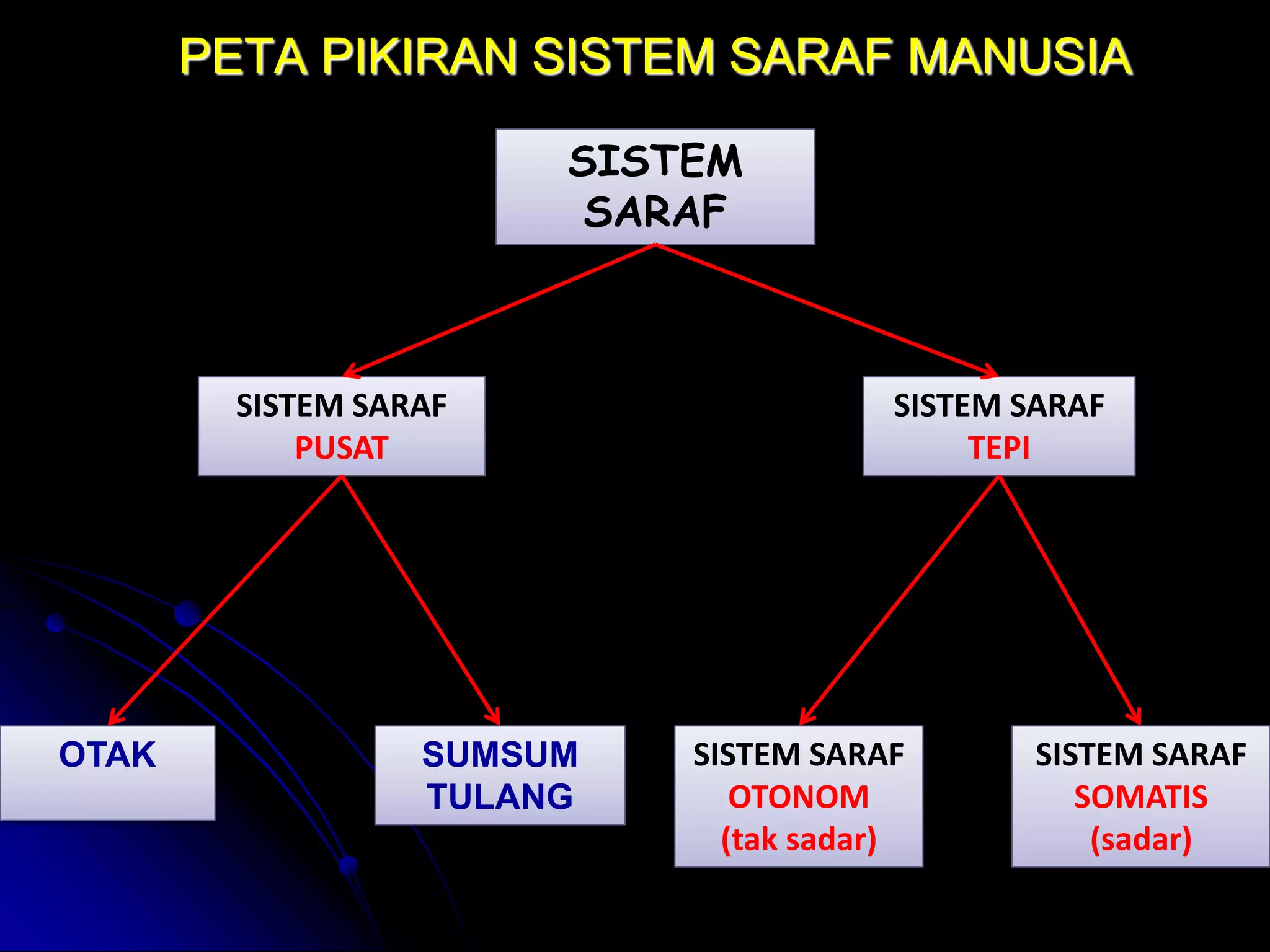 Neurofisiologi neuron | PPT