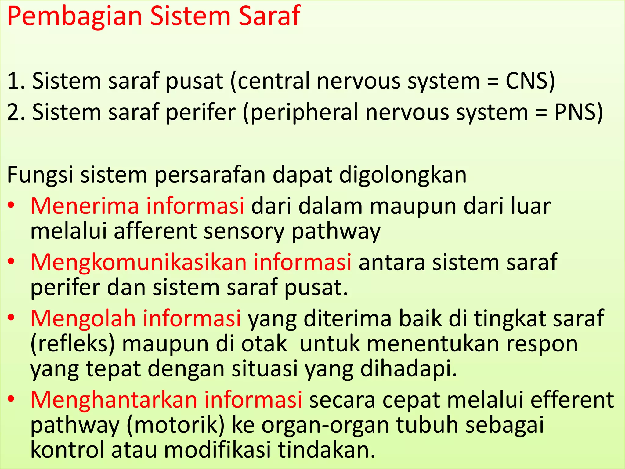 Neurofisiologi neuron | PPT