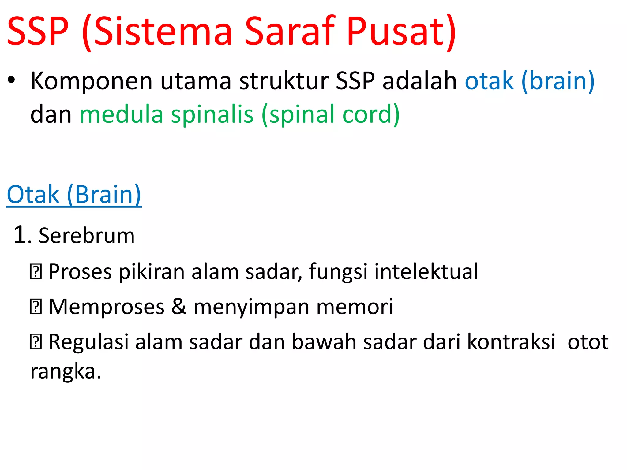 Neurofisiologi neuron | PPT