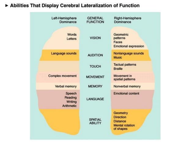 Neurofisiologi neuron | PPT