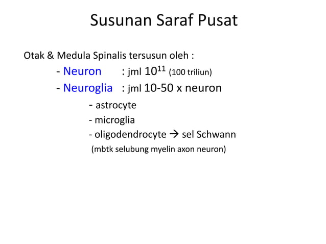 Neurofisiologi neuron | PPT