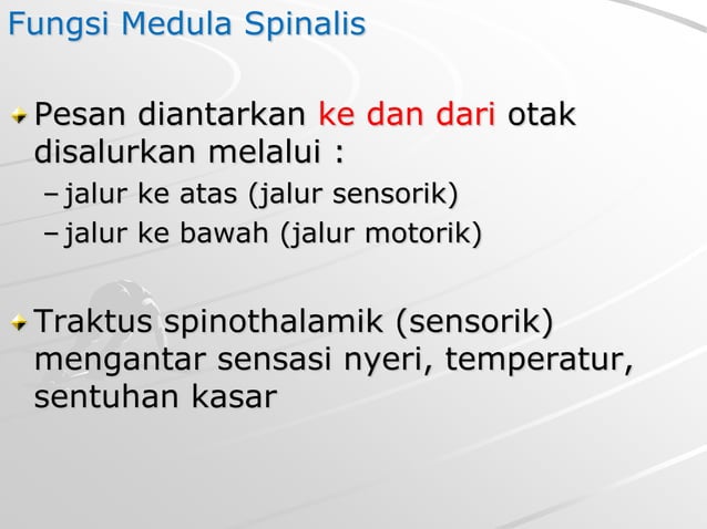 Neurofisiologi neuron | PPT