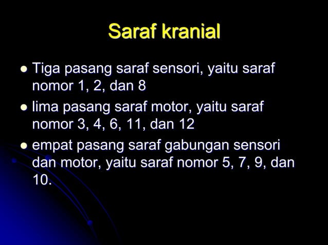 Neurofisiologi neuron | PPT