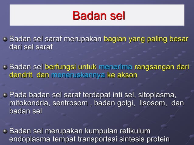 Neurofisiologi neuron | PPT