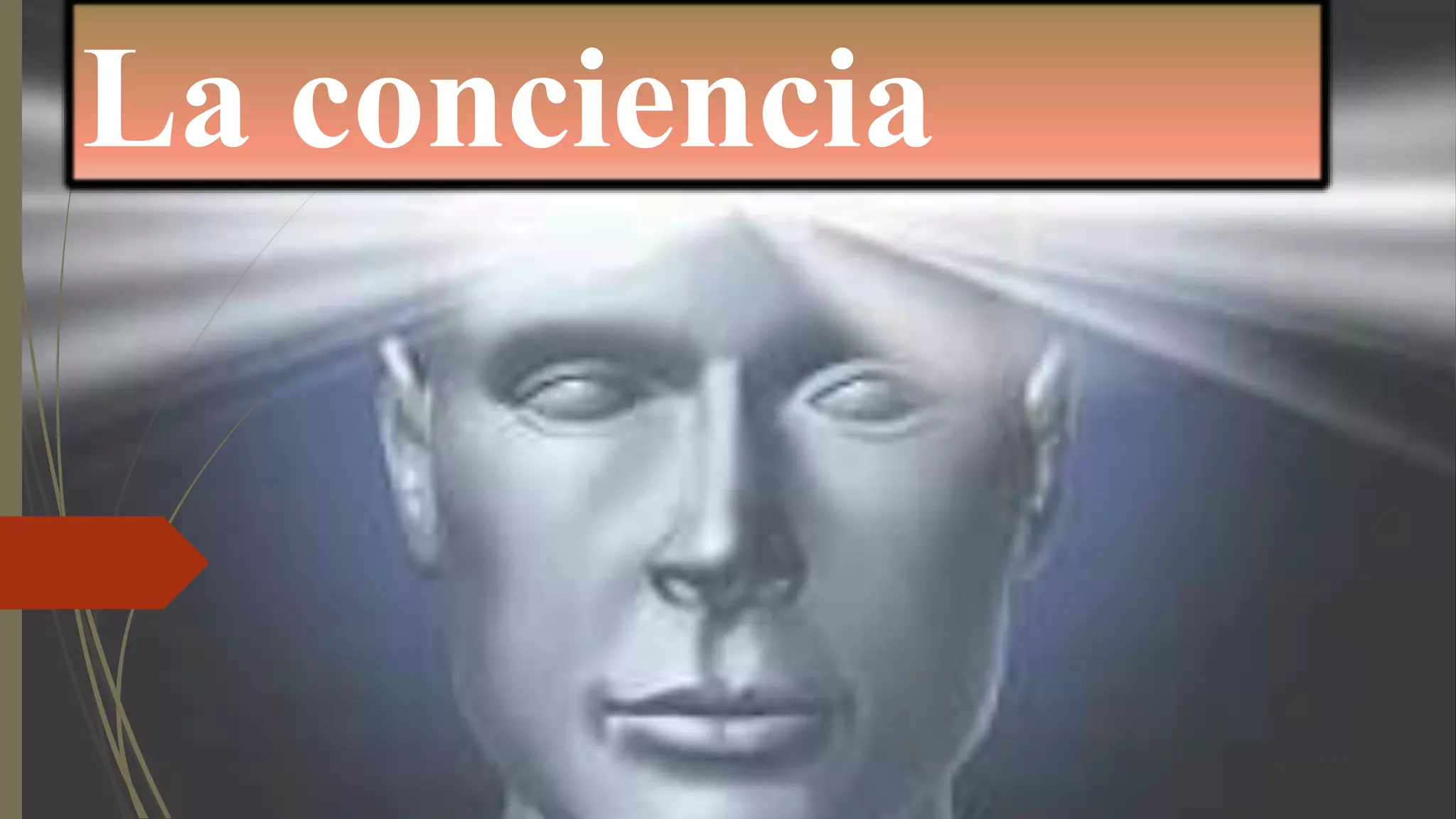 Tipos de conciencia y sus características