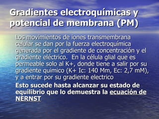 Neurofisiologia Electrofisiologia | PPT