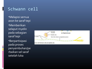 sistem saraf | PPT