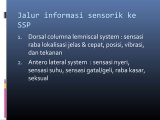 sistem saraf | PPT