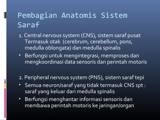 sistem saraf | PPT