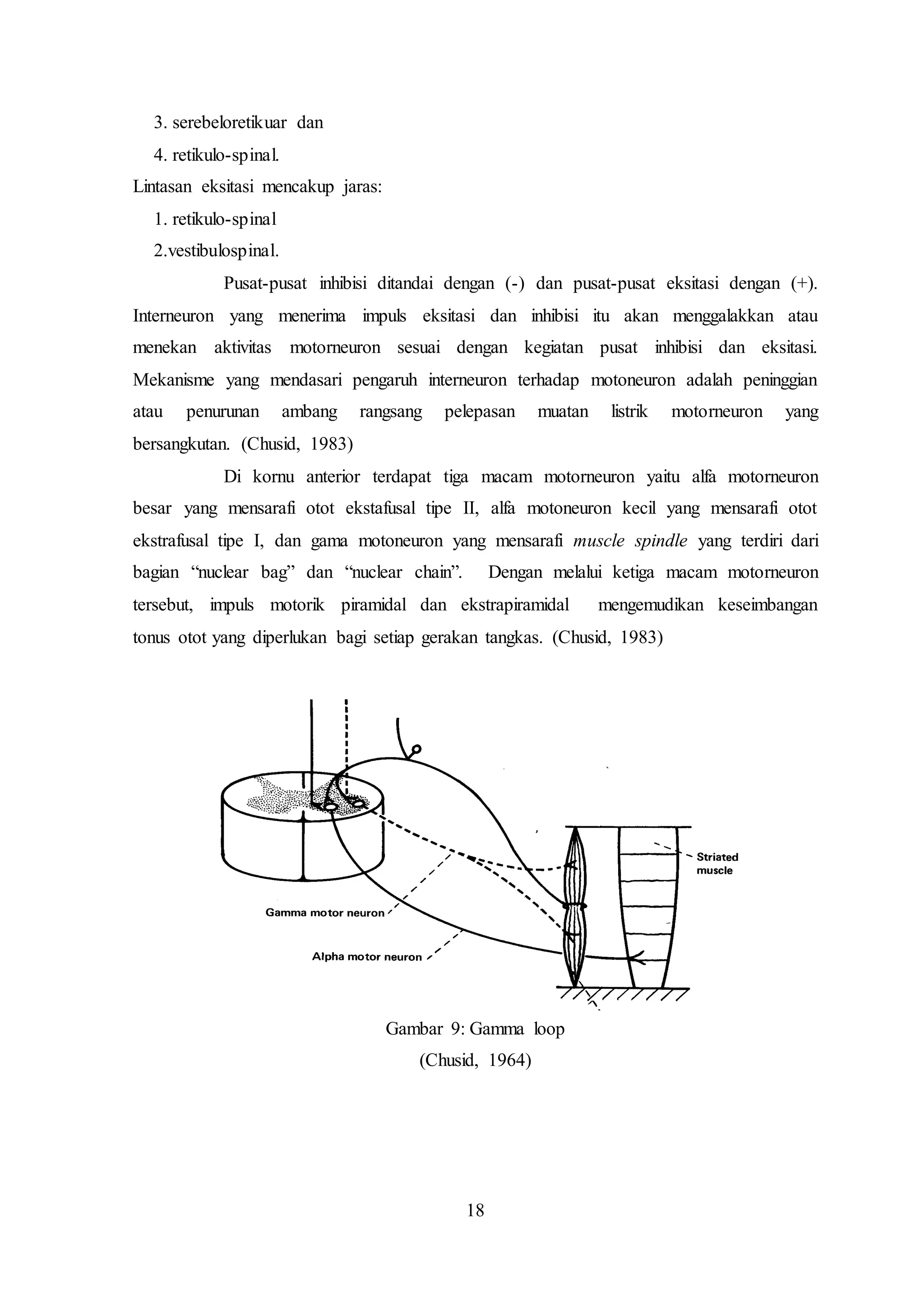 Neurofisiology extrapiramidal | DOCX