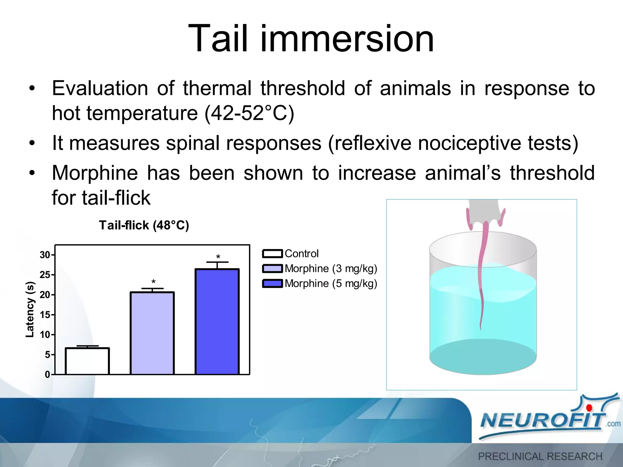 Neurofit pain models and tests | PDF