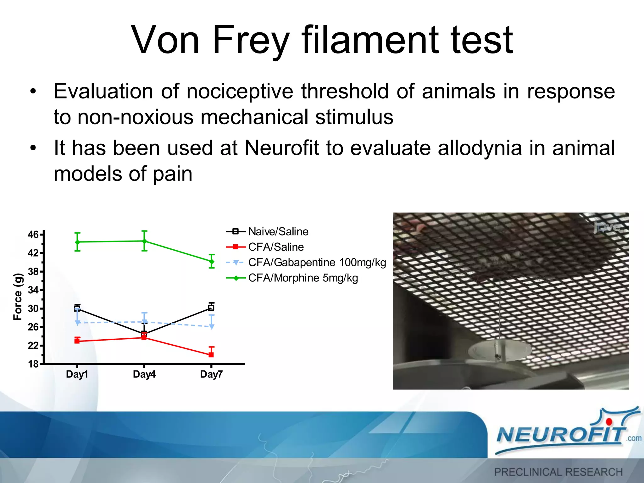 Neurofit pain models and tests | PDF