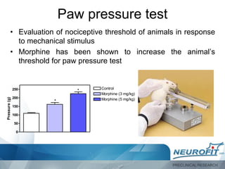 Neurofit pain models and tests | PDF