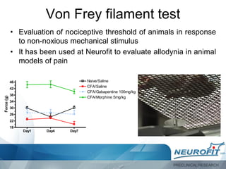 Neurofit pain models and tests | PDF