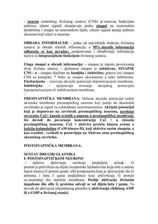 NEUROFIZIOLOGIJA V.ORENDI, A.ORENDI, Neurofiziologija | DOCX