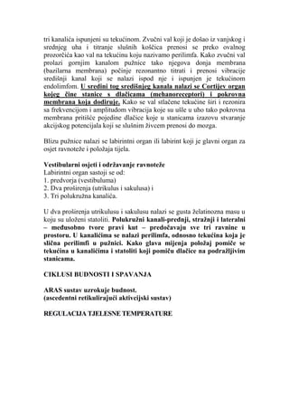 NEUROFIZIOLOGIJA V.ORENDI, A.ORENDI, Neurofiziologija | DOCX
