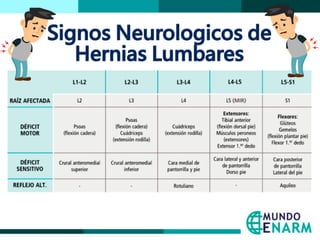 Flashcard de Neurologia - Medicina Enarm | PDF