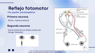 neuroftalmo.pptx