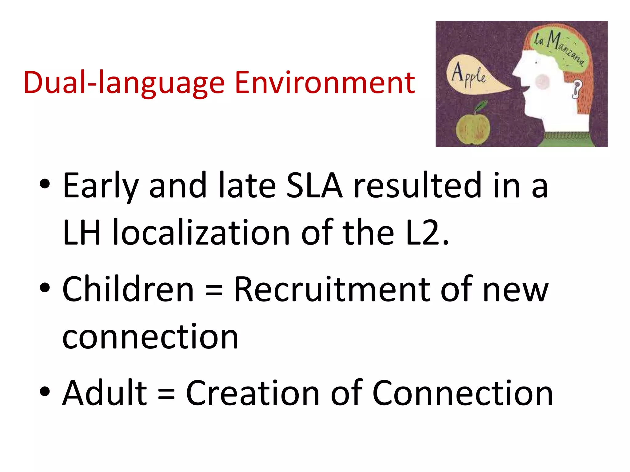 Neurofunctional theory | PPTX