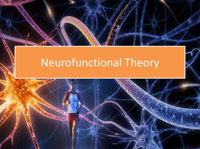 Neurofunctional theory | PPTX | Brain and Nervous System Disorders ...