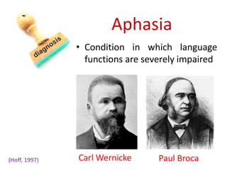 Neurofunctional theory | PPTX