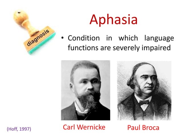 Neurofunctional theory | PPTX | Brain and Nervous System Disorders ...